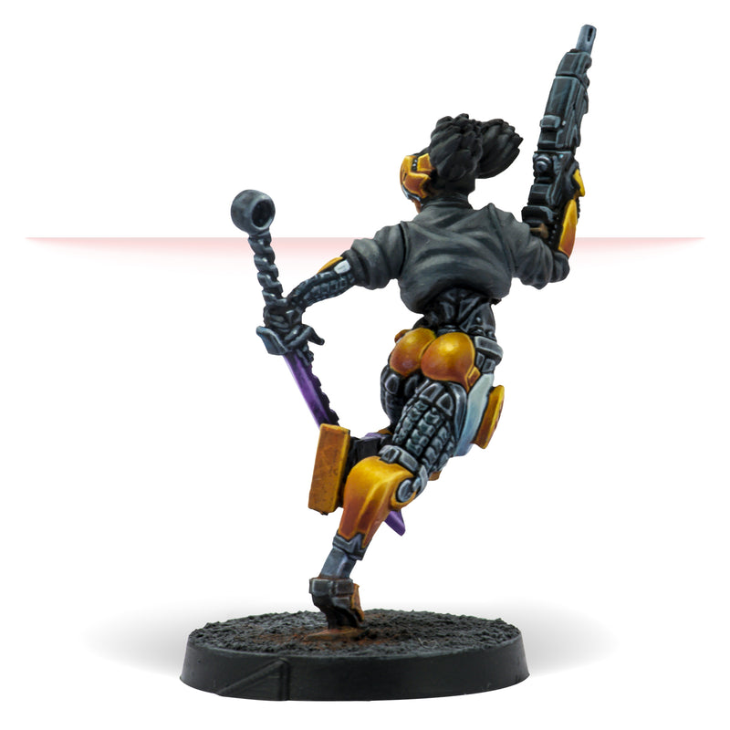 Infinity the Game Corvus Belli AGL Tournament Pack - Bixie Edition ...